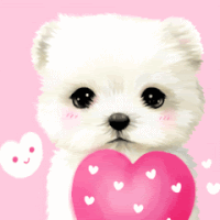 Mignon GIFs - Get the best gif on GIFER