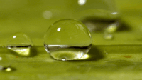 Droplet GIFs - Get the best gif on GIFER