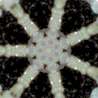 Conceptual GIFs - Get the best gif on GIFER