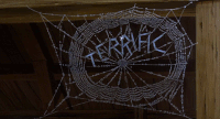 Terrific GIFs - Get the best gif on GIFER