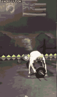 Lifter GIFs - Get the best gif on GIFER