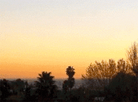 California GIFs - Get the best gif on GIFER