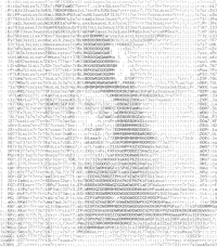 Source code GIF - Conseguir o melhor gif em GIFER