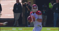 Calf GIFs - Get the best gif on GIFER