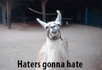 Haters GIFs - Get the best gif on GIFER