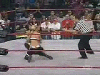 Handle GIFs - Get the best gif on GIFER