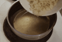 Rice GIFs - Get the best gif on GIFER