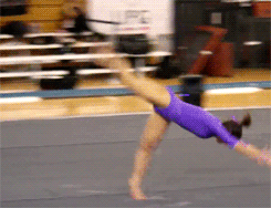 Bridgeport GIFs - Get the best gif on GIFER