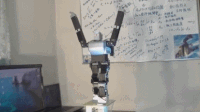 Camina por la cuerda floja GIF - Conseguir el mejor gif en GIFER
