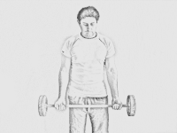Bicep GIFs - Get the best gif on GIFER