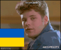 Accurate GIFs - Get the best gif on GIFER