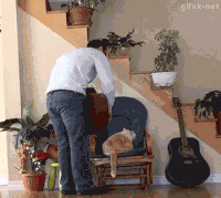 Karma GIFs - Get the best gif on GIFER