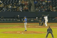 Settle GIFs - Get the best gif on GIFER