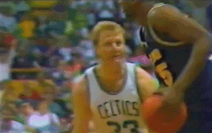 Lbw GIFs - Get the best gif on GIFER