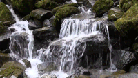 Waterfall GIFs - Get the best gif on GIFER