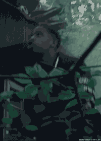 Wiffle GIFs - Get the best gif on GIFER