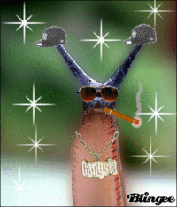 Slug GIFs - Get the best gif on GIFER