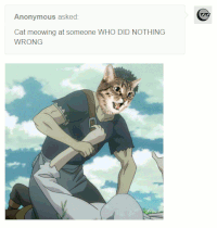 Incorrect GIFs - Get the best gif on GIFER