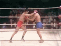 Combos GIFs - Get the best gif on GIFER