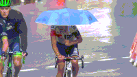 Fine GIFs - Get the best gif on GIFER