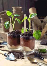 Mint GIFs - Get the best gif on GIFER