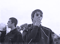 Oasis GIFs - Get the best gif on GIFER