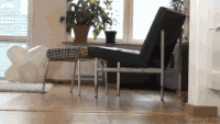 Remote control car GIFs - Get the best gif on GIFER