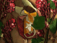 Fable GIFs - Get the best gif on GIFER