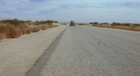 The 1979 GIFs - Get the best gif on GIFER