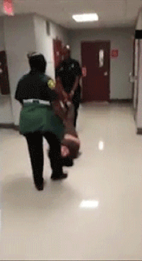 Refuse GIFs - Get the best gif on GIFER