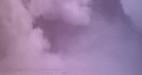 Fog GIFs - Get the best gif on GIFER