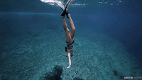 Diving GIFs - Get the best gif on GIFER