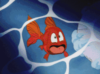 Scoop GIFs - Get the best gif on GIFER