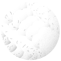 Ori GIFs - Get the best gif on GIFER