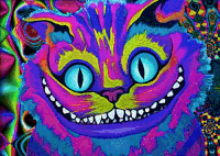 Epilepsy GIFs - Get the best gif on GIFER