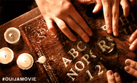 Board GIFs - Get the best gif on GIFER