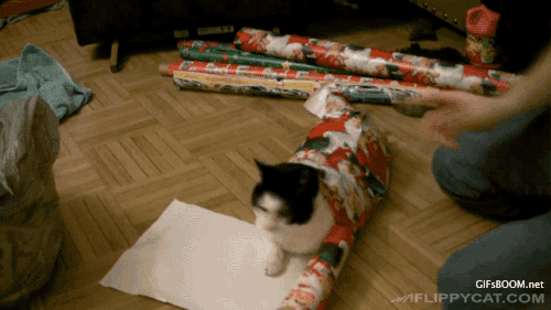 How to wrap your cat for christmas GIF - Conseguir o melhor gif em GIFER