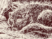 Inn GIFs - Get the best gif on GIFER