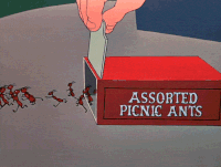 Ant GIFs - Get the best gif on GIFER
