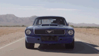 Mustang GIFs - Get the best gif on GIFER