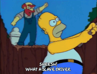 Digging GIFs - Get the best gif on GIFER