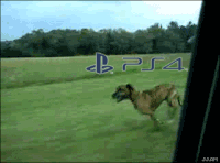 Consoles GIFs - Get the best gif on GIFER