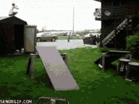 Ramps GIFs - Get the best gif on GIFER