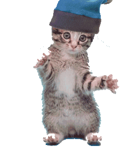 Catsticker GIF - Conseguir o melhor gif em GIFER