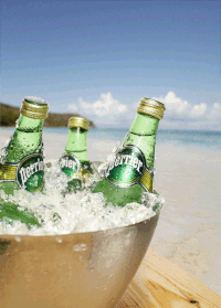 Pub GIFs - Get the best gif on GIFER