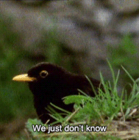 Theyre real people GIF - Conseguir o melhor gif em GIFER