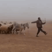 Battle GIFs - Get the best gif on GIFER