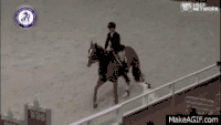 Cheval GIFs - Obtenez le meilleur gif sur GIFER