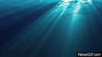 Underwater GIFs - Get the best gif on GIFER