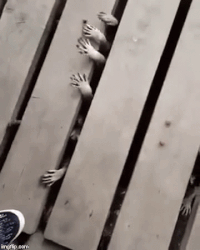 Arms GIFs - Get the best gif on GIFER